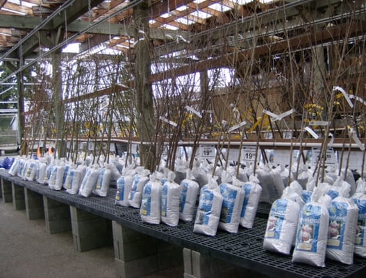 MCLENDON HARDWARE - Updated November 2025 - 11 Photos & 87 Reviews ...