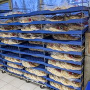 SUNBAKE PITA BAKERY - 117 Photos & 68 Reviews - 10728 134 Ave NW ...
