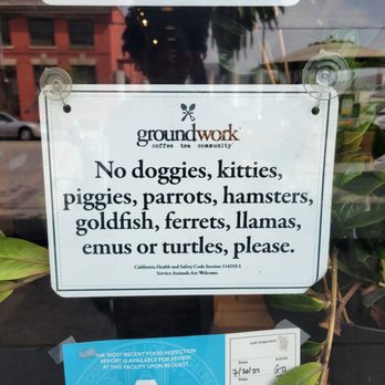 GROUNDWORK COFFEE - Updated May 2024 - 551 Photos & 467 Reviews - 811 ...
