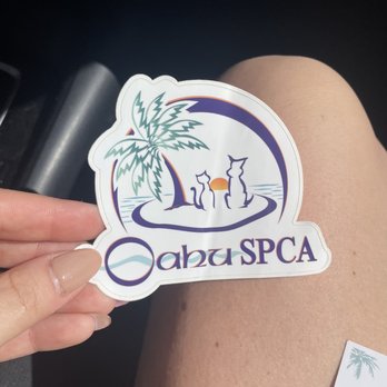 OAHU SPCA - Updated November 2024 - 128 Photos & 147 Reviews - 823 ...