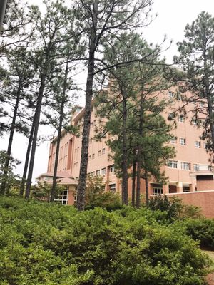 WOMACK ARMY MEDICAL CENTER - Updated June 2026 - 17 Photos & 59 Reviews ...