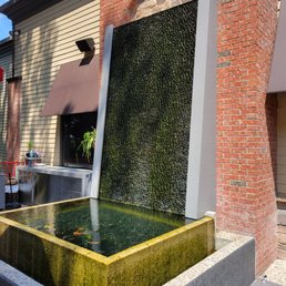 AJA ASIAN CUISINE & LOUNGE - Updated December 2025 - 444 Photos & 298 ...