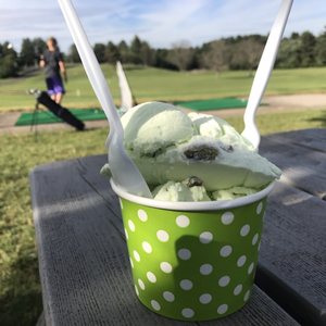 BOGEY’S ICE CREAM - 47 Photos & 18 Reviews - Ice Cream & Frozen Yogurt ...