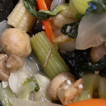 MANDARIN RESTAURANT - Updated October 2025 - 61 Photos & 51 Reviews ...