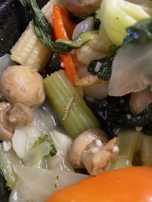 MANDARIN RESTAURANT - Updated March 2025 - 61 Photos & 48 Reviews ...