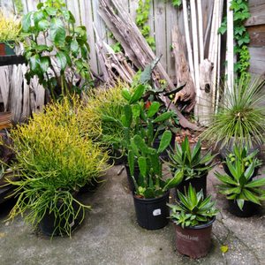 NOTOCO INDUSTRIES - Updated January 2026 - 15 Photos - 10380 Airline ...