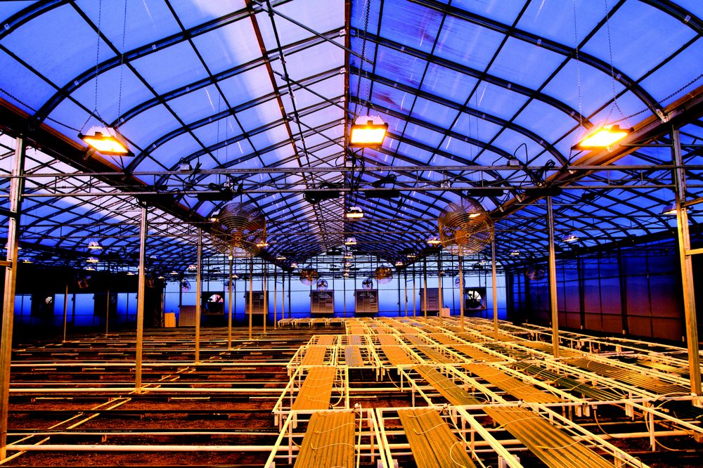 BARRON LIGHTING - Updated December 2025 - 42 Photos - 7885 N Glen ...