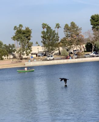 CHAPARRAL PARK - 222 Photos & 74 Reviews - 5401 N Hayden Rd, Scottsdale ...