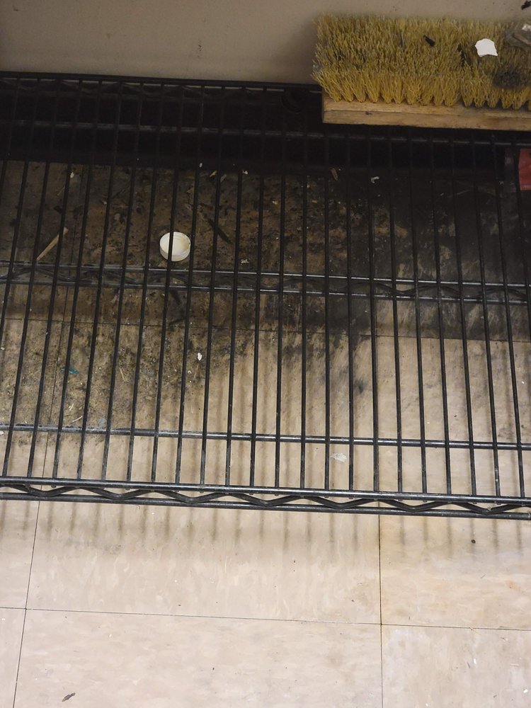 MT CLEAN AND SHINE - Updated November 2024 - Request a Quote ...