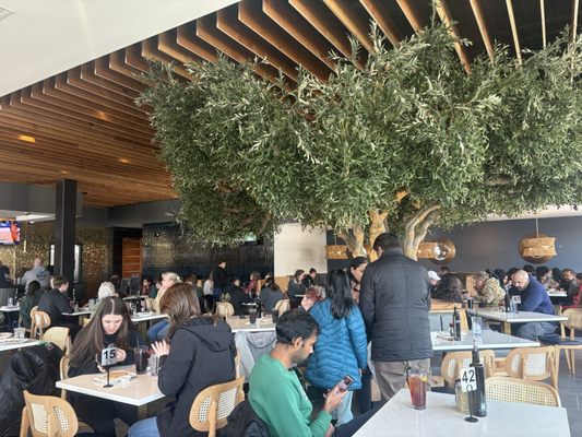 MEDDYS - Updated March 2025 - 51 Photos - 17255 Davenport St, Omaha ...