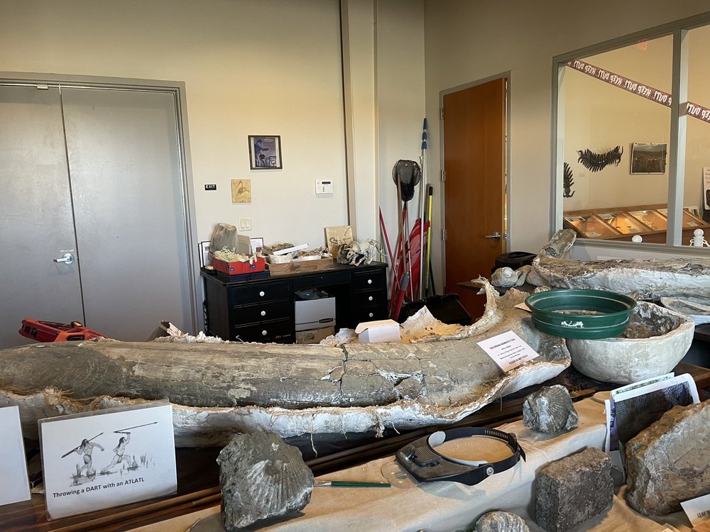 FOSSIL DISCOVERY CENTER OF MADERA COUNTY - 90 Photos & 21 Reviews ...