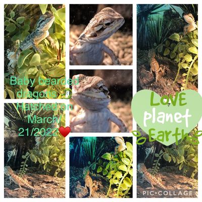 PERRIS MINI MALL - Updated December 2025 - 50 Photos & 17 Reviews ...