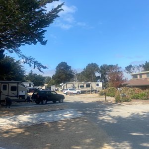 MONTEREY PINES RV PARK - 22 Photos & 11 Reviews - 1250 Garden Rd ...