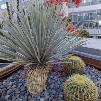 EDEN ROOFTOP BAR - Updated November 2024 - 139 Photos & 84 Reviews - 2 ...