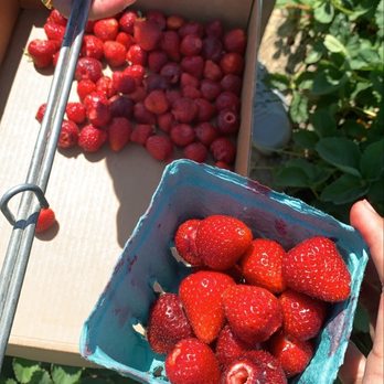 BIRINGER FARM - Updated August 2025 - 94 Photos & 42 Reviews - 21412 ...