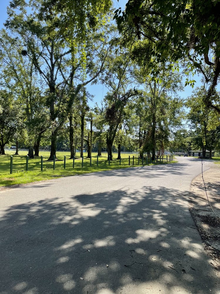 THEODORE PARK - Updated October 2025 - 50 Photos - 7171 Old Military Rd ...