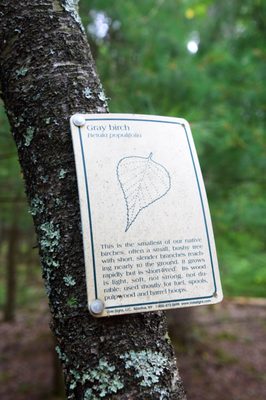 WESTCONNAUG MEADOWS HIKING TRAIL - Updated April 2025 - 49 George ...