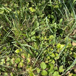 MASKER ORCHARDS - 322 Photos & 201 Reviews - 45 Ball Rd, Warwick, NY - Yelp