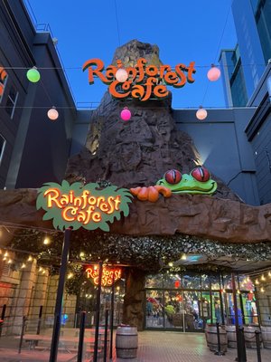 RAINFOREST CAFE - Updated June 2025 - 356 Photos & 331 Reviews - 4915 ...