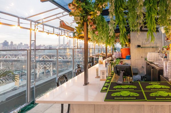 LOST IN PARADISE ROOFTOP - 248 Photos & 244 Reviews - 11-01 43rd Ave ...