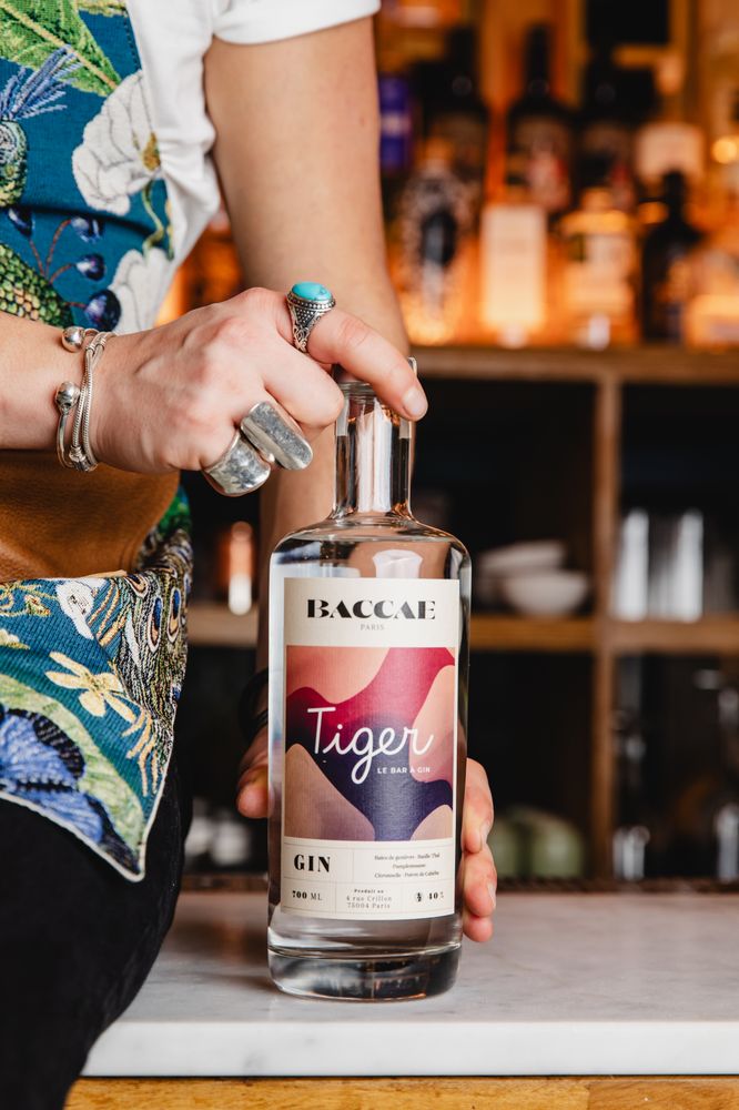 TIGER - Updated March 2025 - 73 Photos & 22 Reviews - 13 rue Princesse ...