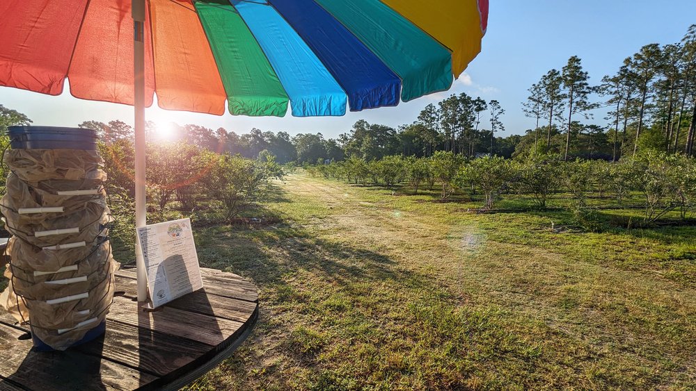 CRYSTAL RIVER ORCHARD - Updated December 2025 - 2659 N Virginia Rd ...