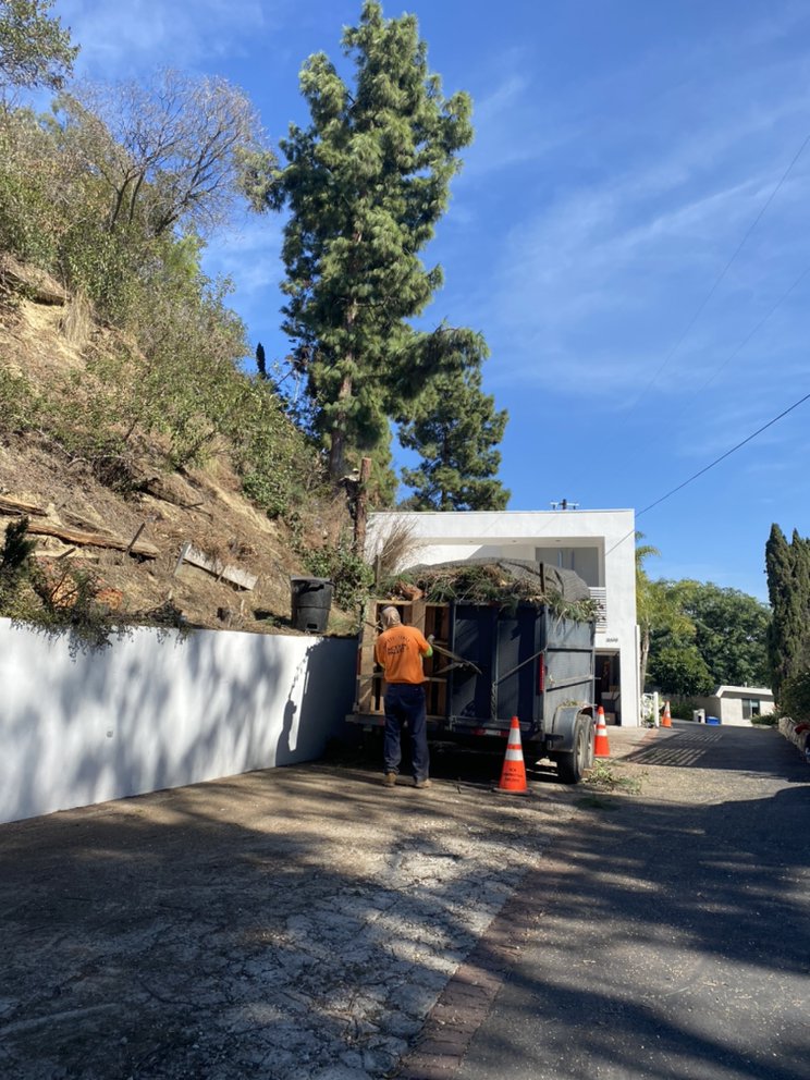 MANNY’S TREE - Azusa, CA - Yelp