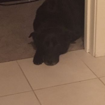 HUMANE INDIANA - Updated October 2025 - 14 Photos & 19 Reviews - 421 ...