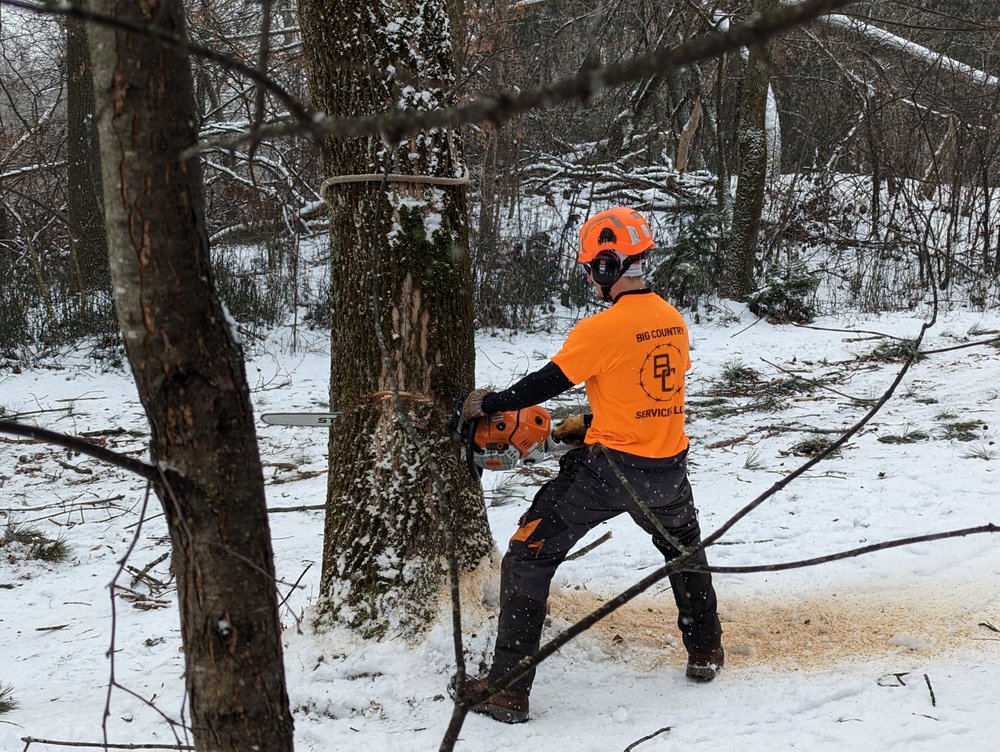 BIG COUNTRY TREE SERVICES - Updated June 2025 - 4905 Doris Rd, New ...