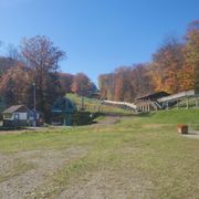 SKY HIGH ADVENTURE PARK - 63 Photos & 31 Reviews - 6557 Holiday Valley ...