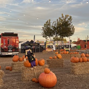 PIERCE PUMPKIN PATCH - Updated October 2025 - 13 Reviews - 20926 ...