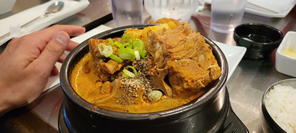 COCODAK - Updated December 2024 - 10 Photos - 2081 Rue Sainte Catherine ...