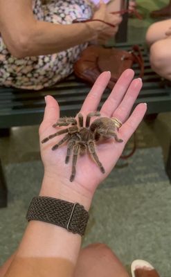 INSECTROPOLIS - Updated July 2024 - 42 Photos & 24 Reviews - 1761 Rte 9 ...