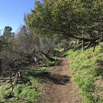 MOUNT SUTRO - Updated October 2025 - 426 Photos & 114 Reviews - Medical ...