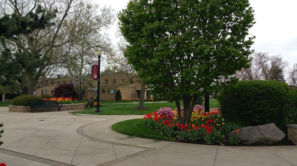 WALSH UNIVERSITY - Updated January 2026 - 10 Photos - 2020 E Maple St ...