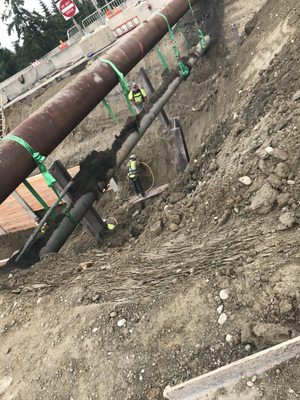 SEATTLE ASBESTOS OF WASHINGTON - Updated July 2025 - 22 Photos & 22 ...