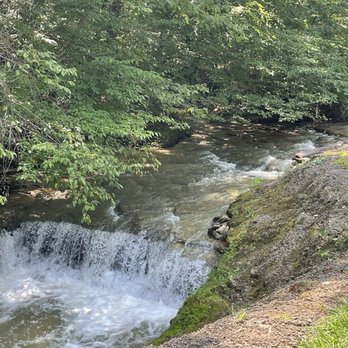 SAUNDERS SPRINGS NATURE PRESERVE - Updated June 2026 - 145 Photos & 30 ...