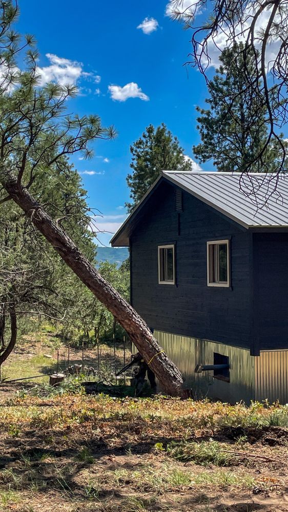 SAN JUAN TIMBER FALLERS - Updated May 2025 - Request a Quote - Durango ...