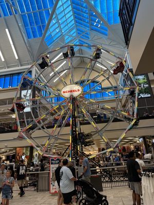 SCHEELS - Updated June 2025 - 827 Photos & 146 Reviews - 3199 W ...