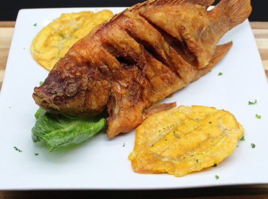 DON MATIAS - 35 Photos & 37 Reviews - Colombian - 7788 NW 44th St ...