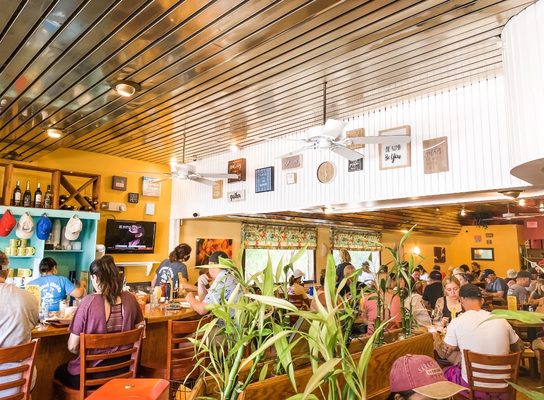 TOASTED MANGO CAFE - Updated June 2025 - 274 Photos & 382 Reviews ...