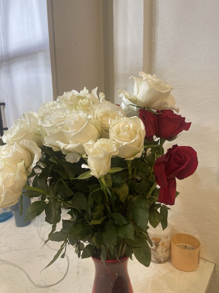 LAW OFFICES OF REEM ODEH - Updated September 2025 - 11 Photos & 11 ...