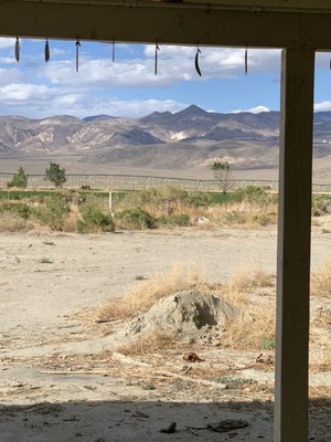 Dyer, NV Map & Directions - MapQuest