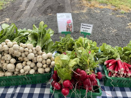 THE GREEN RIVER FARM STAND - Updated December 2025 - 24918 Frager Rd S ...