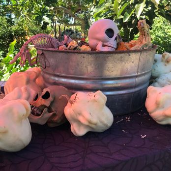 CRYSTAL BAY FARM - Updated June 2025 - 154 Photos & 74 Reviews - 40 ...