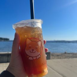 POCHI BUBBLE TEA CAFE - Updated July 2025 - 102 Photos & 76 Reviews ...