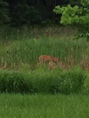 KOBACKER HOUSE-HOSPICE AT RIVERSIDE AND GRANT - Updated January 2026 ...