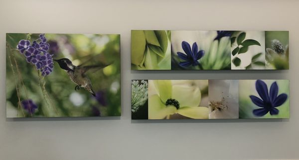 PIH HEALTH WHITTIER HOSPITAL - Updated April 2025 - 158 Photos & 540 ...