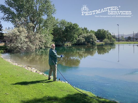 PESTMASTER OF RENO - Updated August 2025 - 25 Photos & 51 Reviews ...