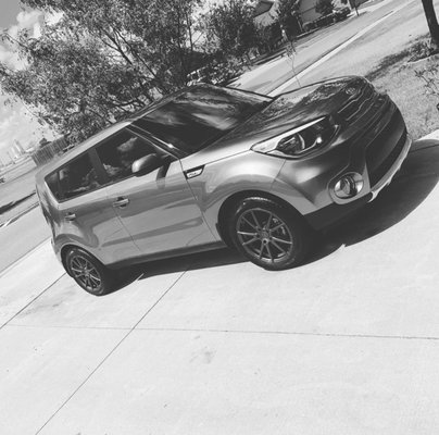 KALIDY KIA - Updated January 2025 - 41 Photos & 124 Reviews - 14205 ...